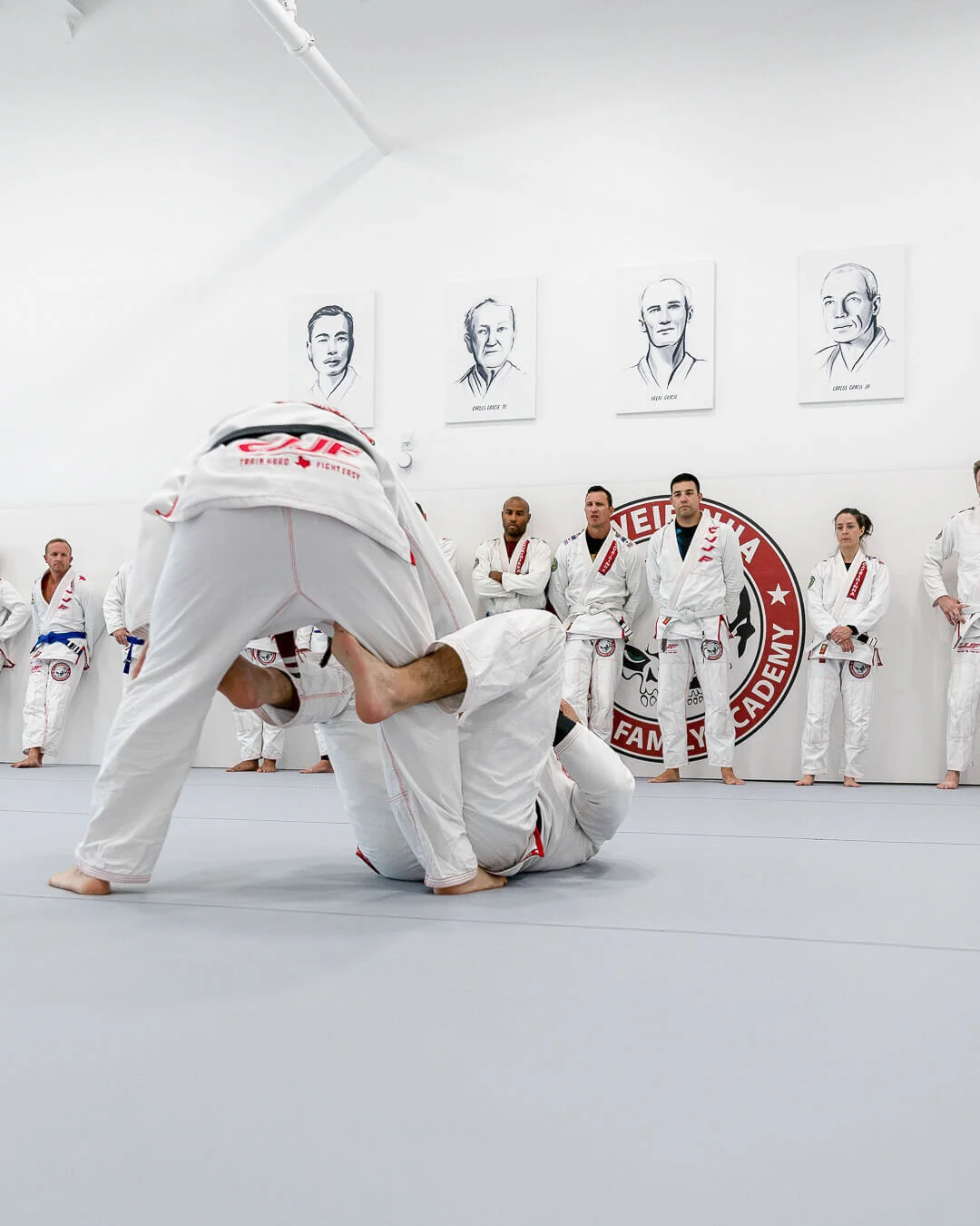 Brazilian Jiu-Jitsu for Adults — CJJF Texas Jiu-Jitsu