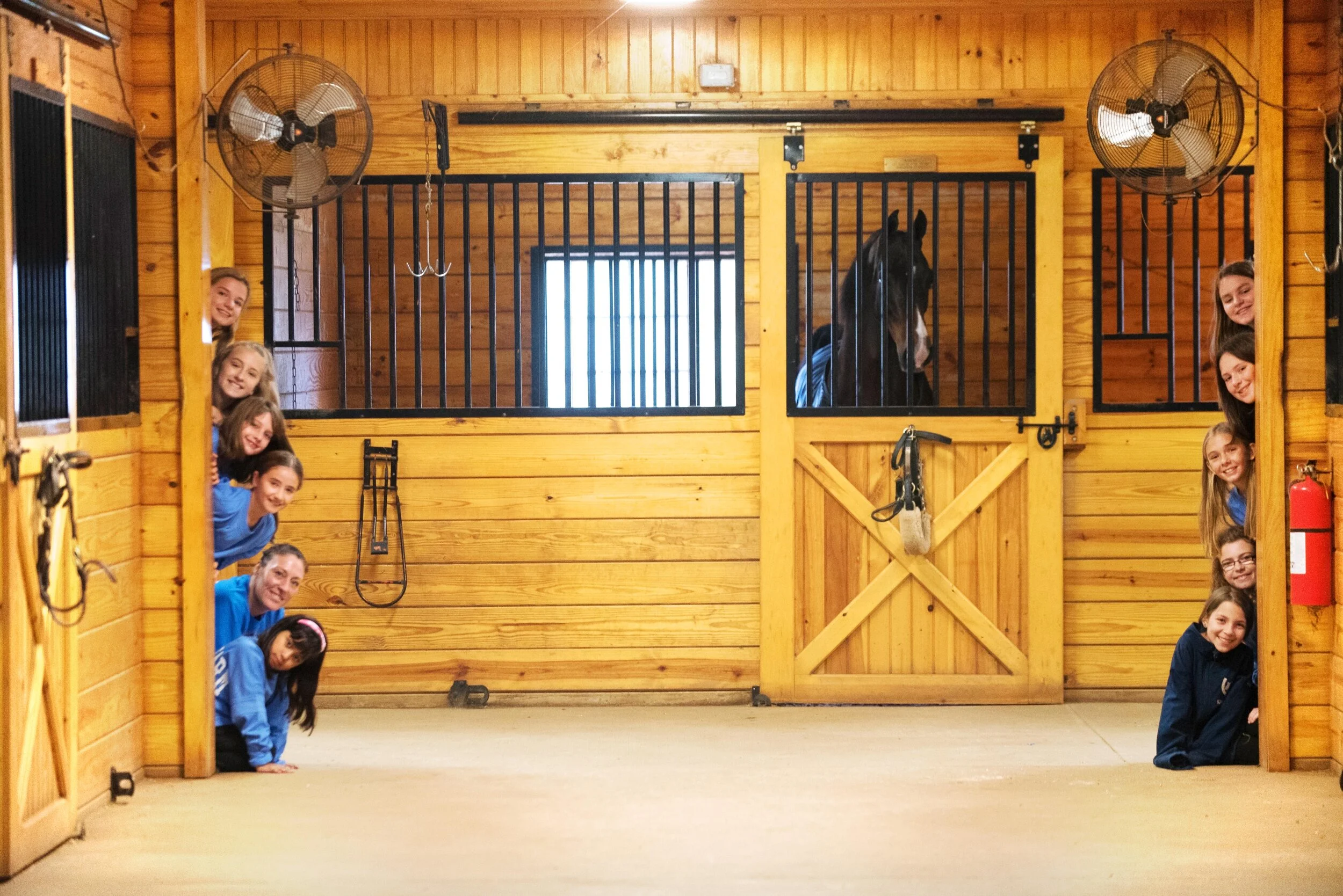 Kierson Farm and Riding Academy