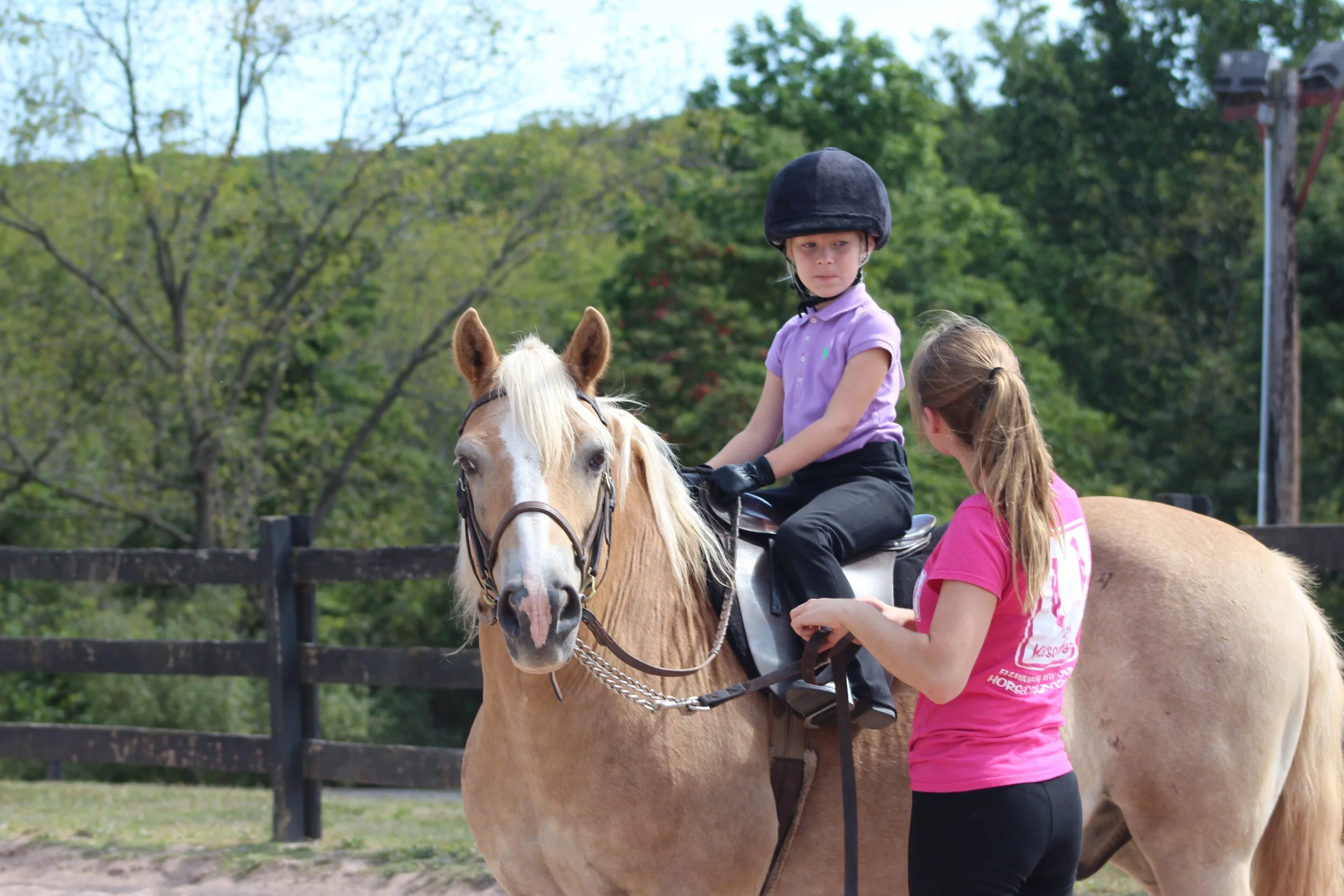 Services 3 — Kierson Farm and Riding Academy