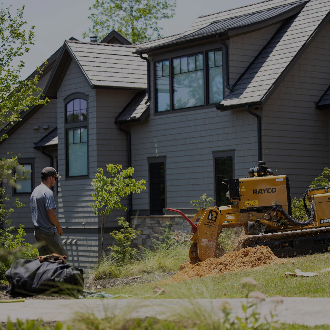 Tree Trimming & Removal Service Greenville SC | Terra Tree Works