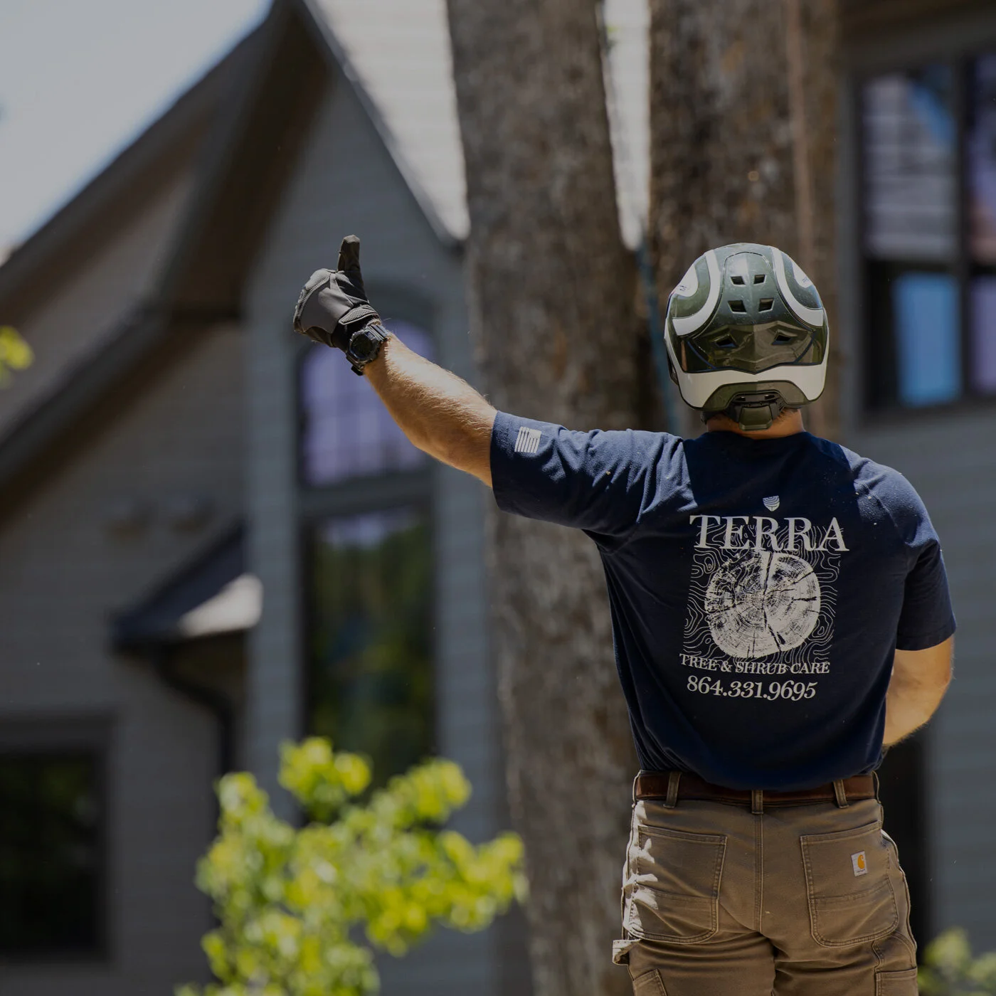 Greenville Tree Company | Tree Removalists Near Me | Terra