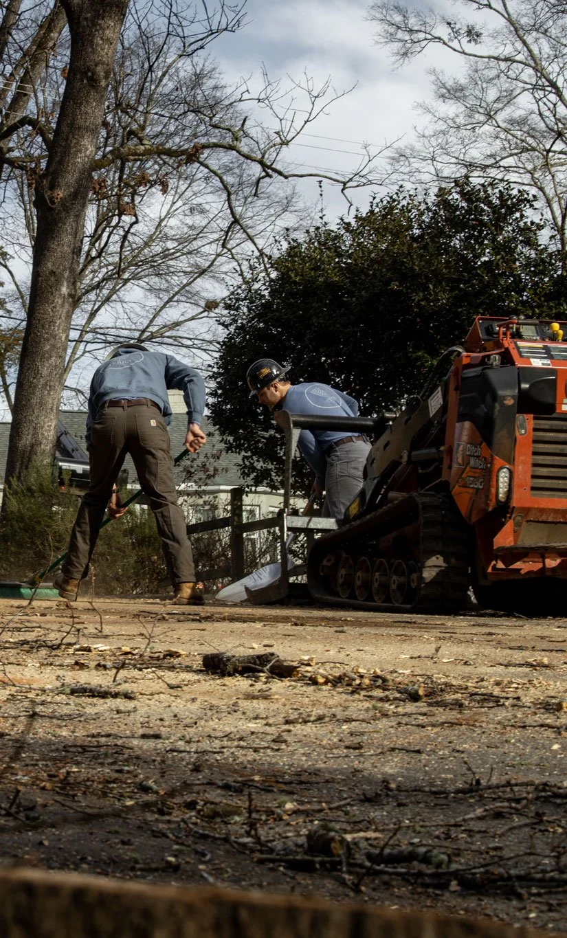 Lot & Land Cleanup in Greenville, Easley & Greer, SC | Terra Tree Works