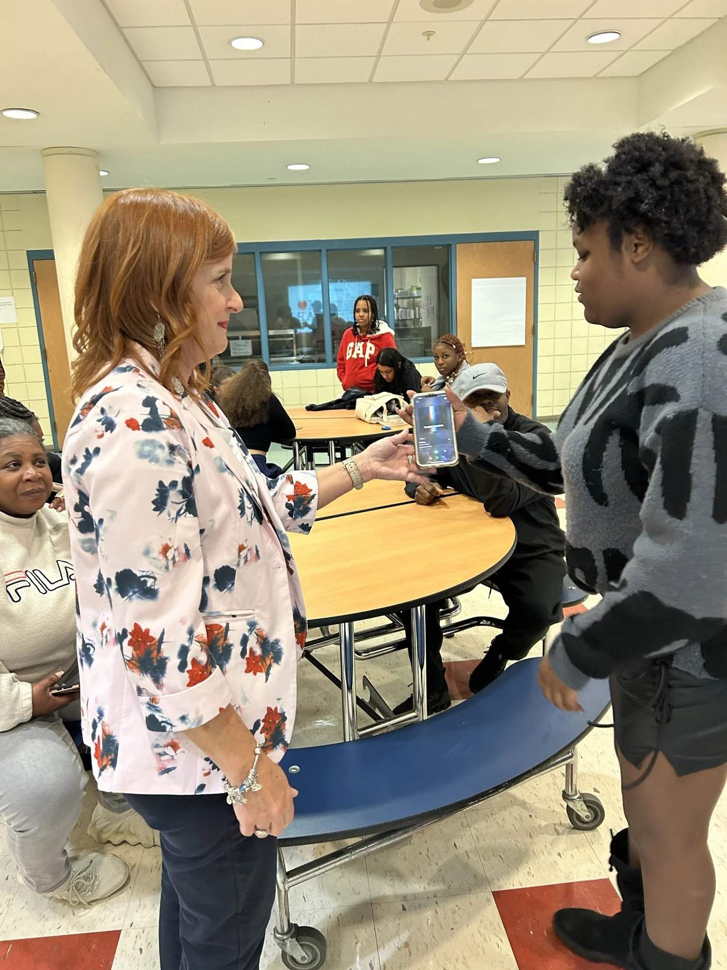 New Mission High School Advanced Placement — New Mission High School