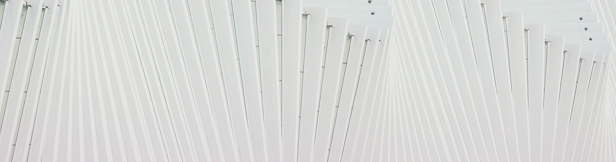 Call Me Queen Campaign — CYRENE RENEE ENTERPRISE