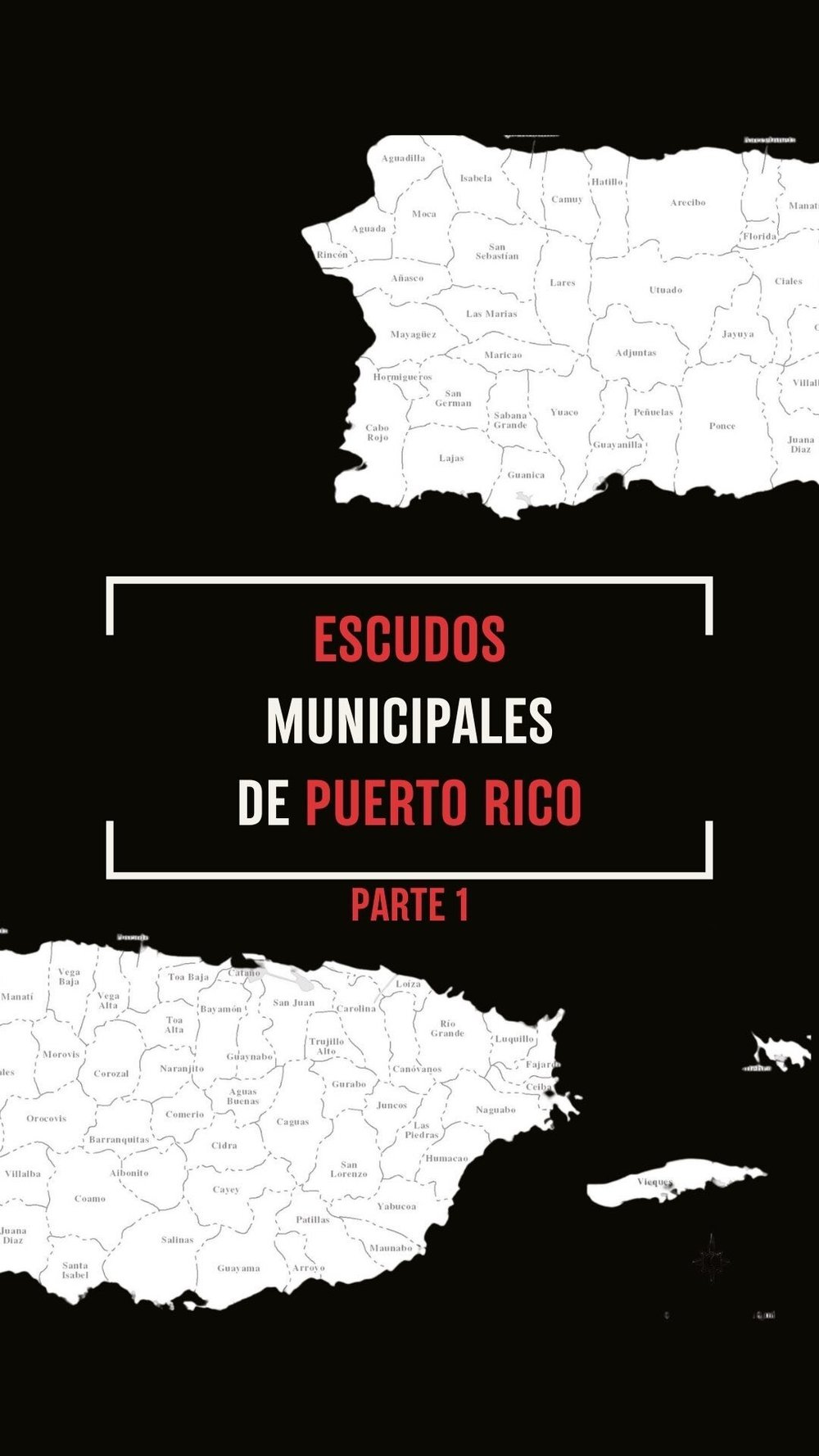 Decolonial Memory : Cartographies of memory, heritage, and coloniality ...