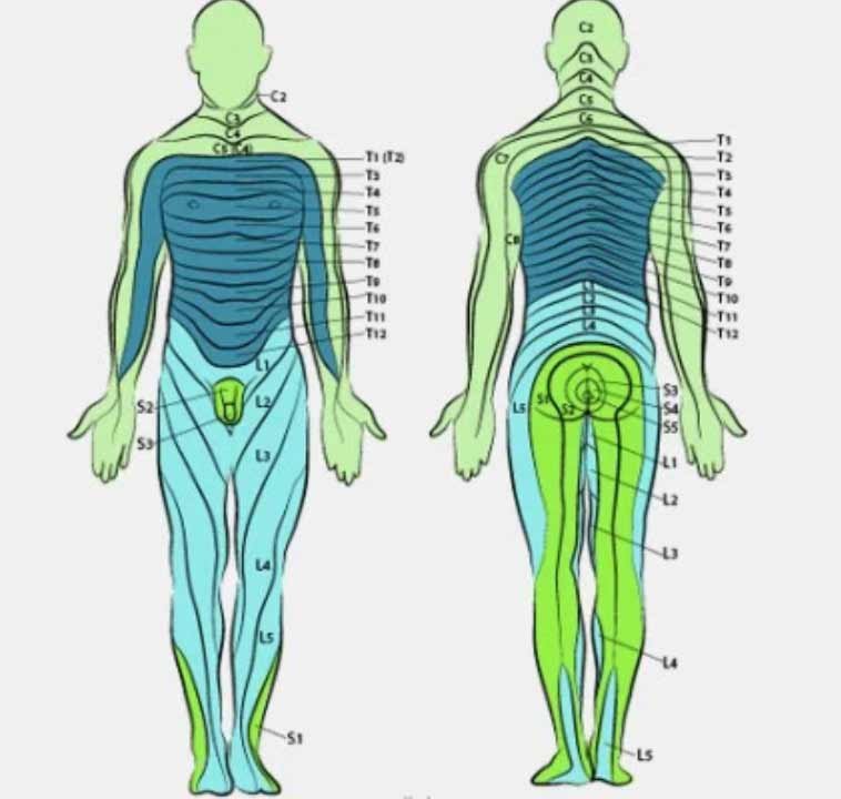 Fix Upper & Lower Back Pain With Posture — Limitless Bronte