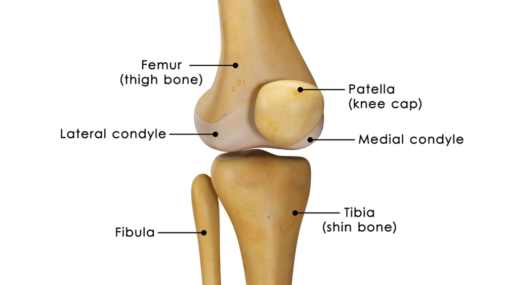 Outside Knee Pain Running: Causes, Treatment and How to Get Back to Running — Limitless Bronte ...