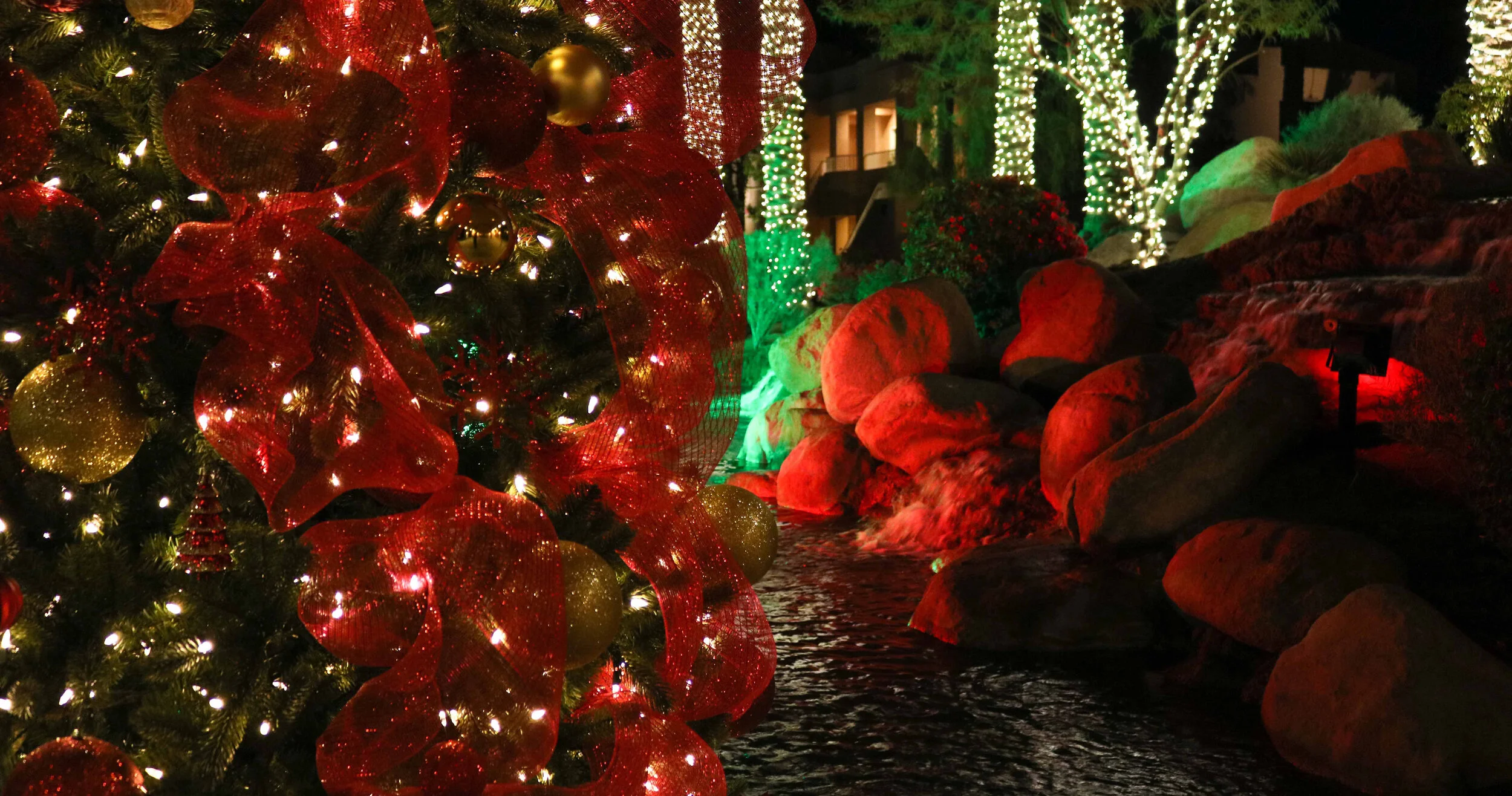 Blog — The Christmas Kings