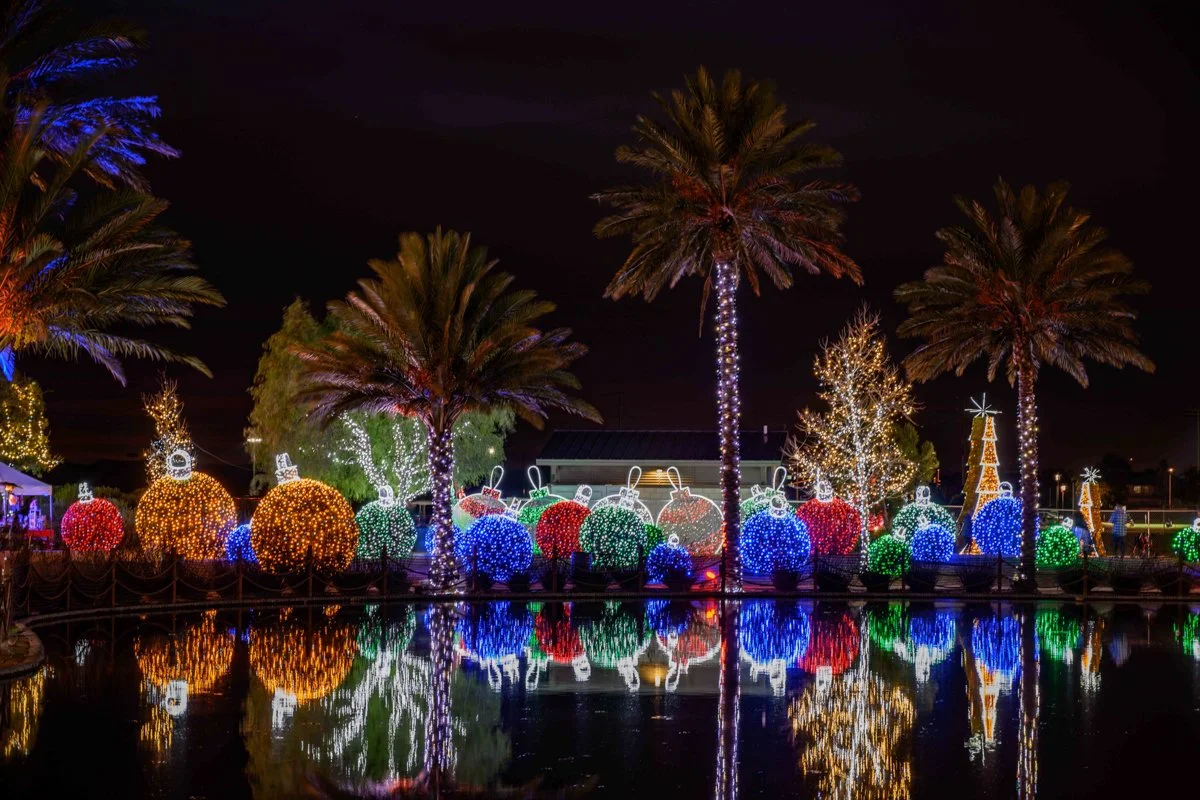 Light Shows — The Christmas Kings