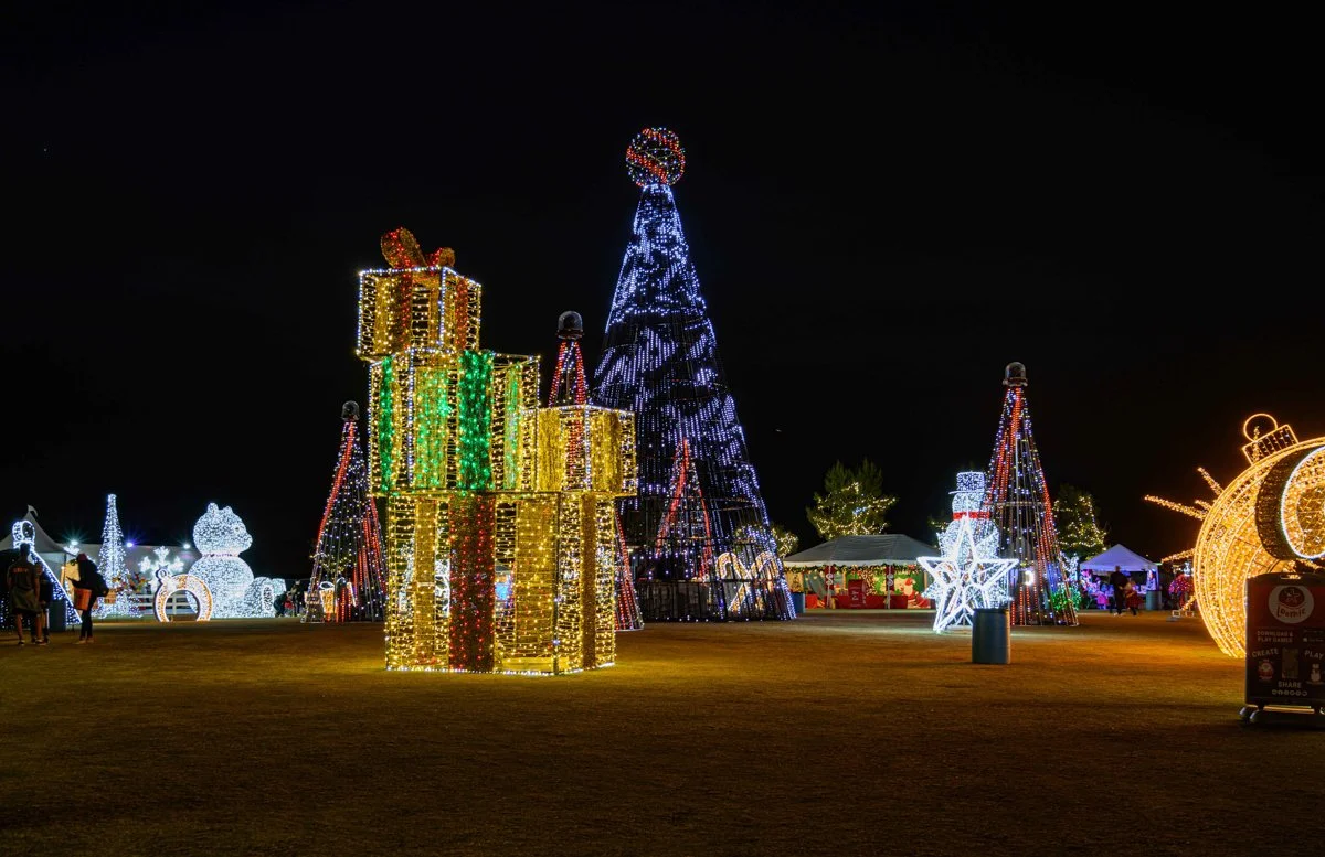 Light Shows — The Christmas Kings