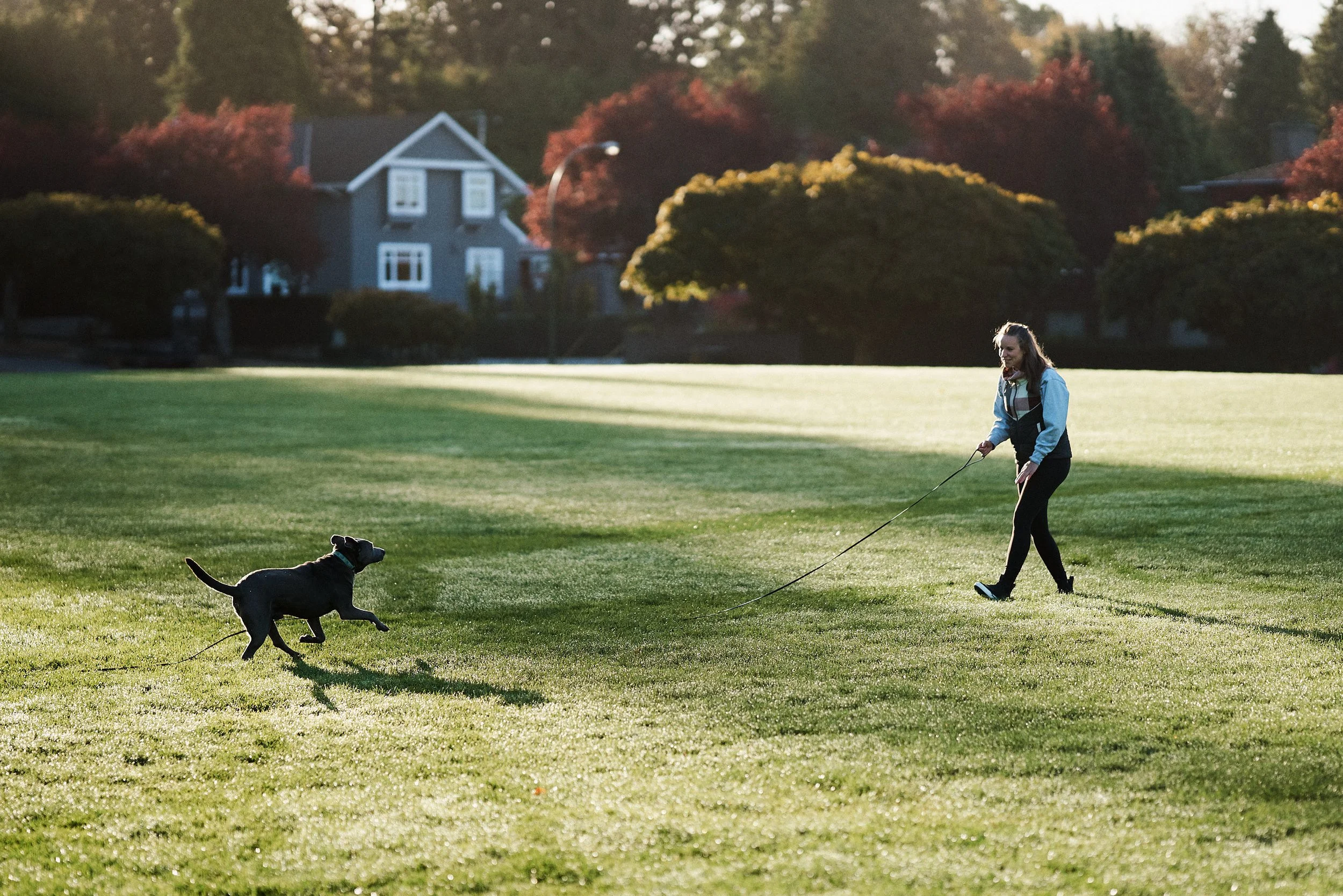 More Info About The Pack Dog Training Team — The Pack Dog Training