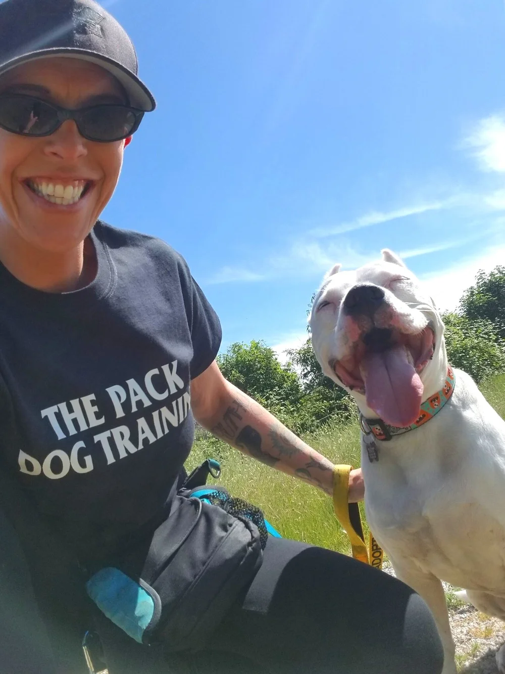 What is "Balanced Training" — The Pack Dog Training
