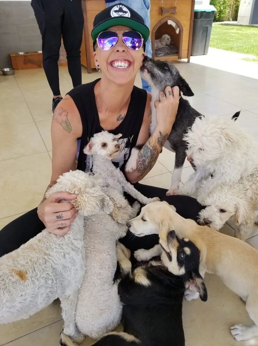 More Info About The Pack Dog Training Team — The Pack Dog Training