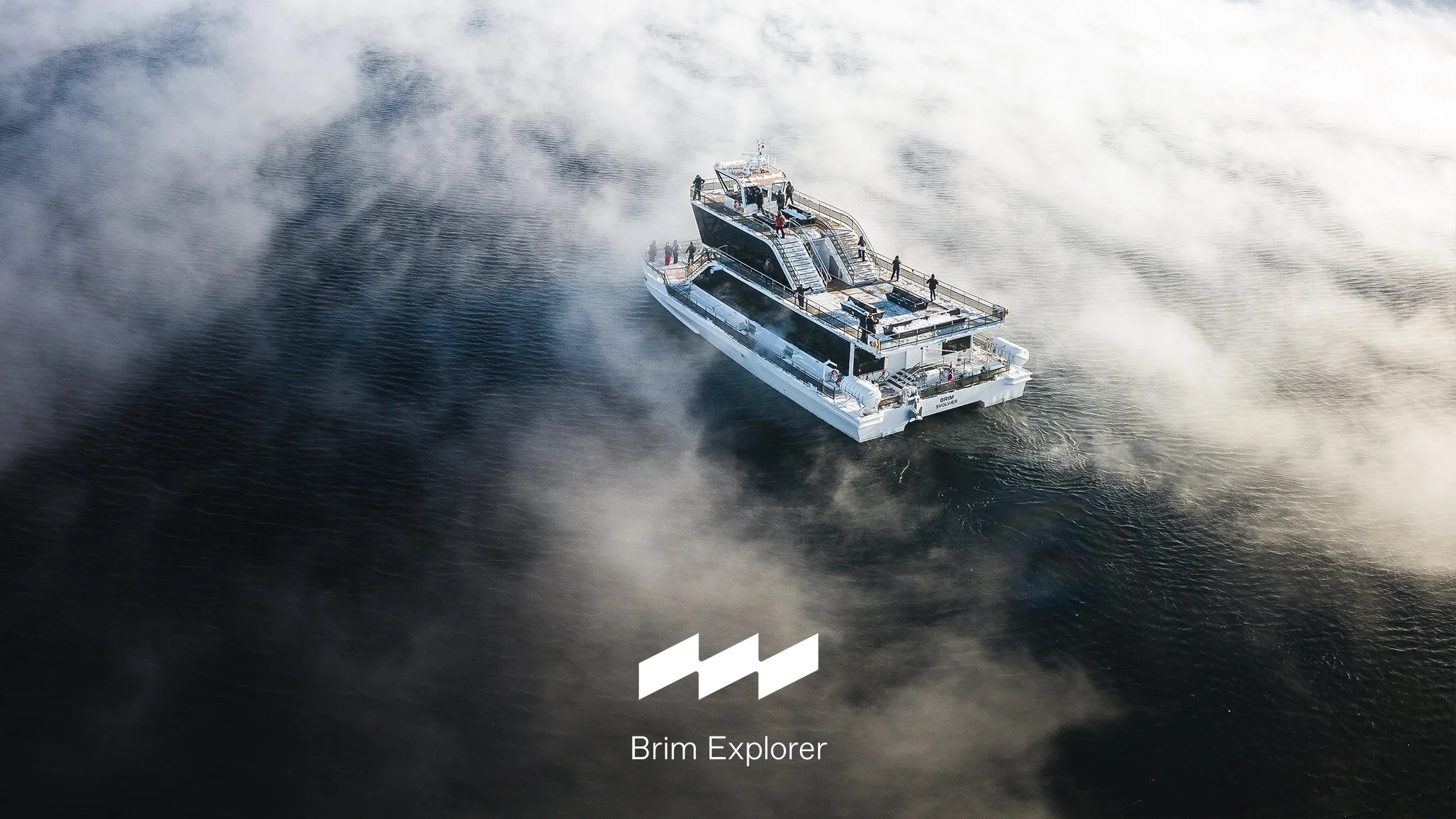 Undead Fish - Content Production