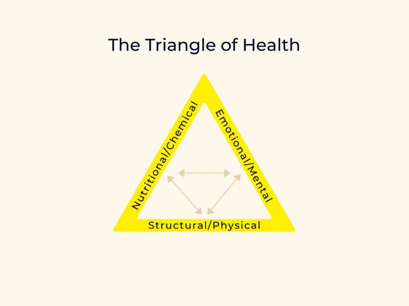 The Triangle of Health — Glow Health Co