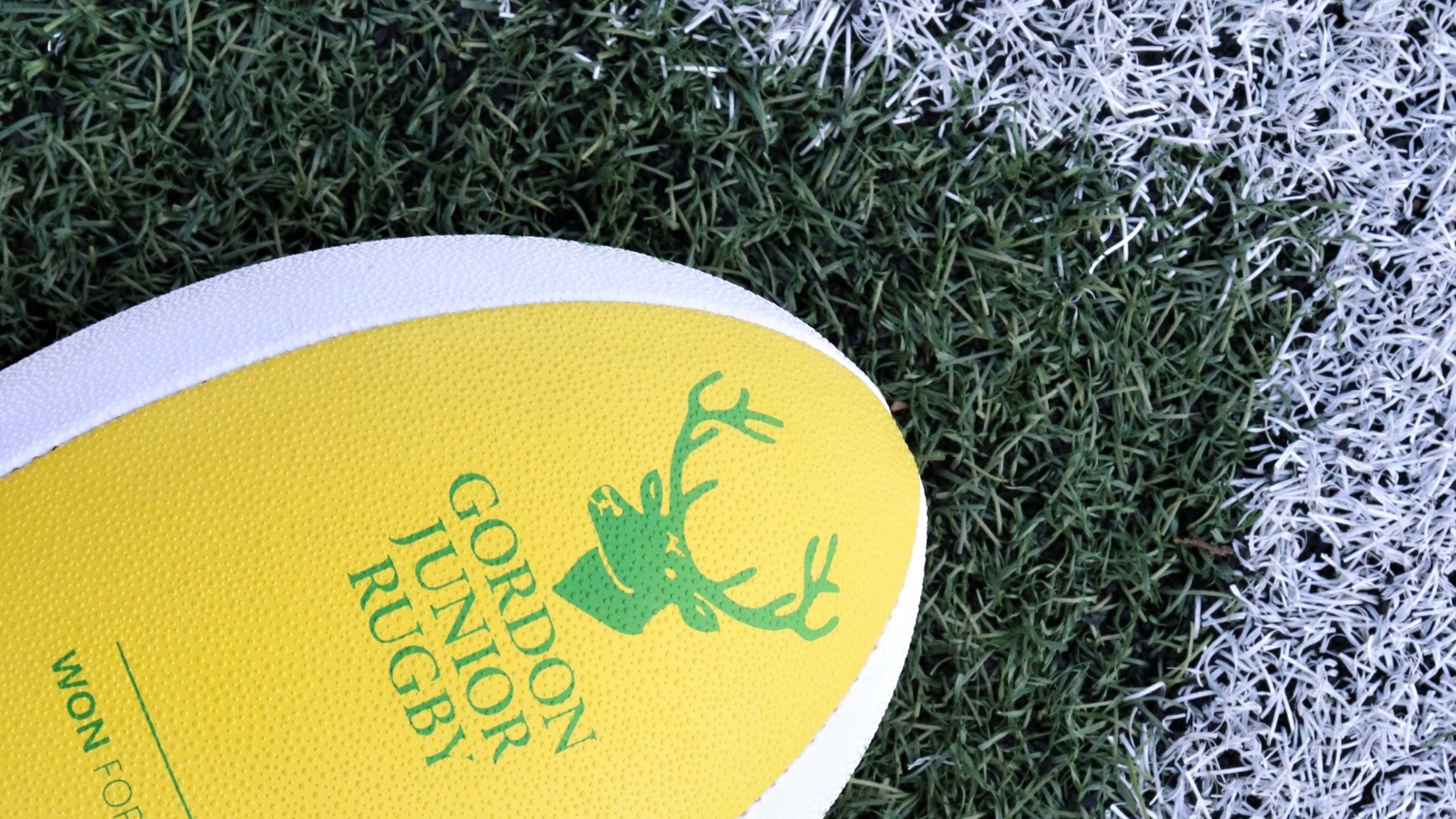 Custom Rugby Balls For Your Squad // W RUGBY