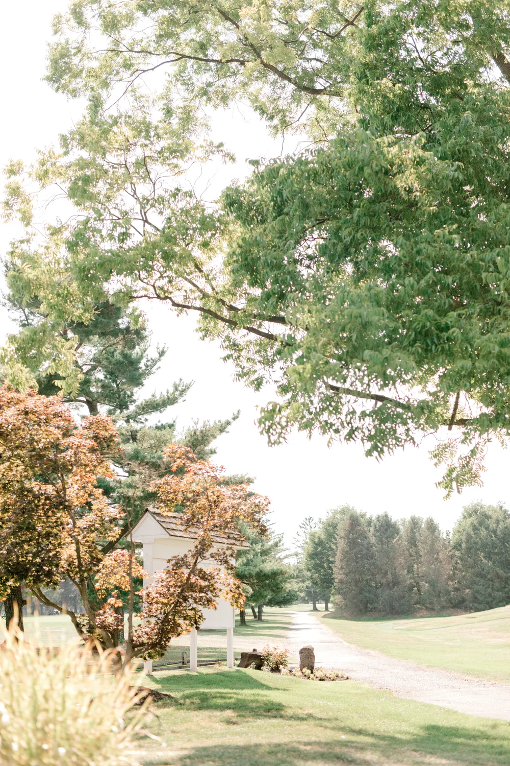 Weddings — The Bucks Club