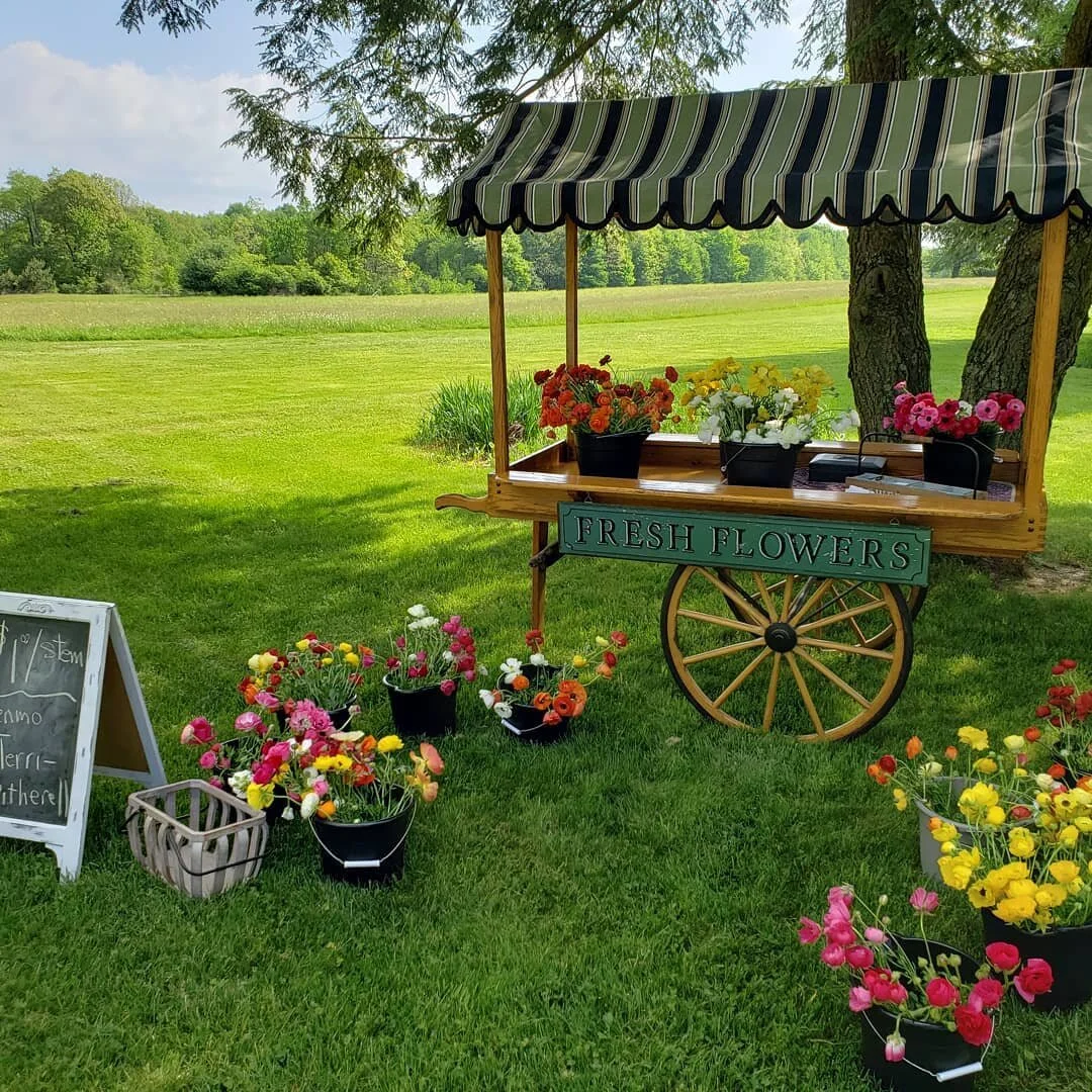 Meant to Bee Flower Farm