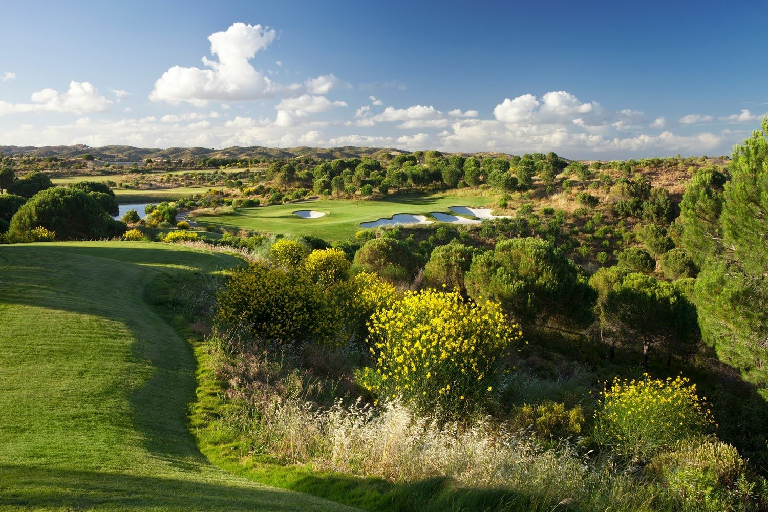 Monte Rei Golf Tournament — Dream Golf Holidays | Bespoke Golf Holidays ...