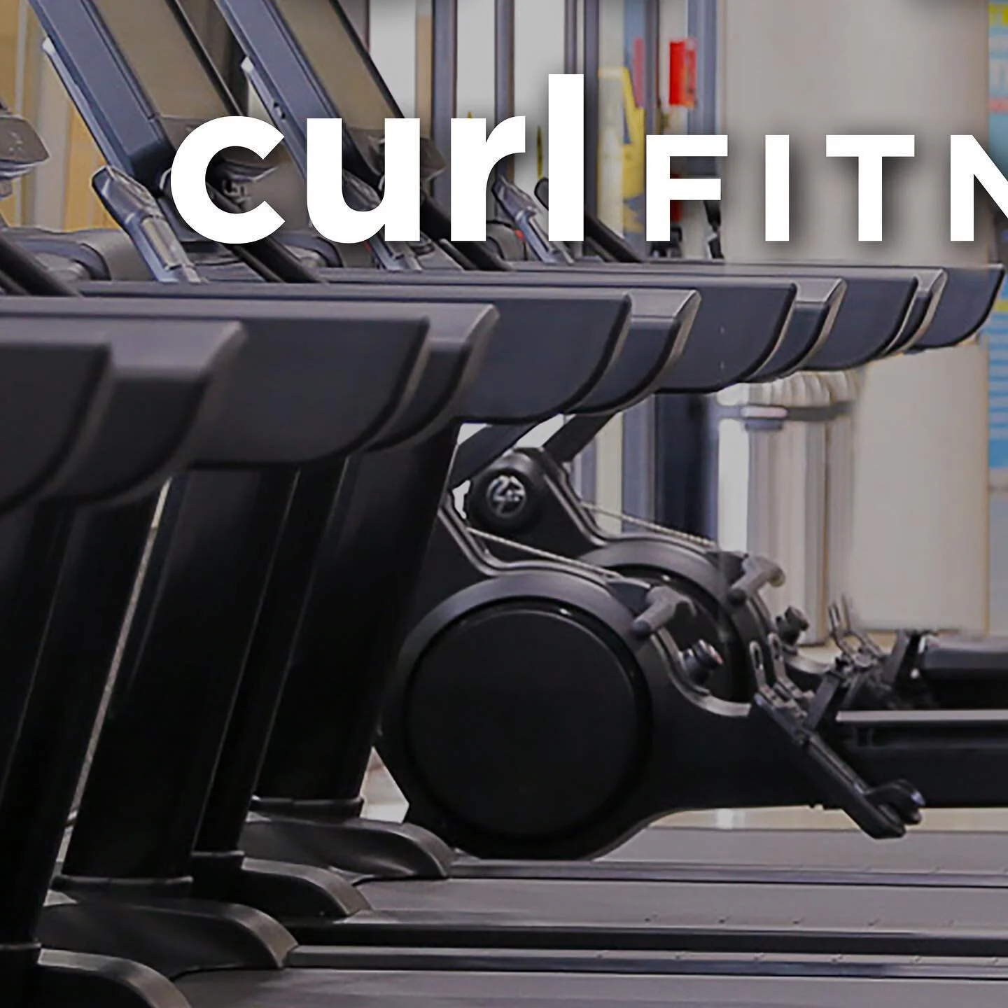 Curl Fitness