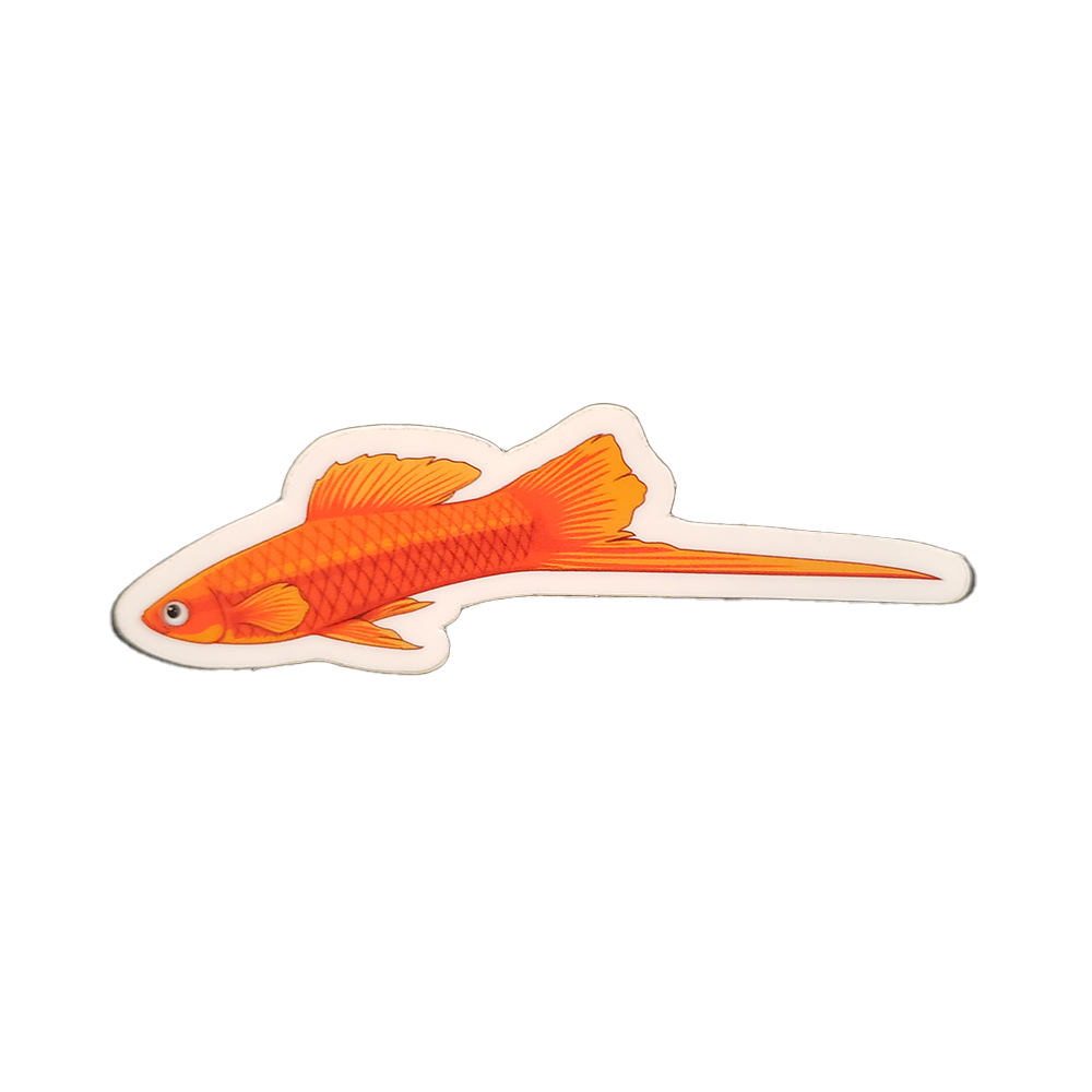 Swordtail Fish
