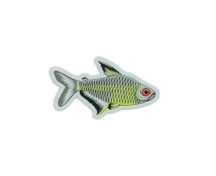 Lemon Tetra Sticker — The Reef Aquarium Shop