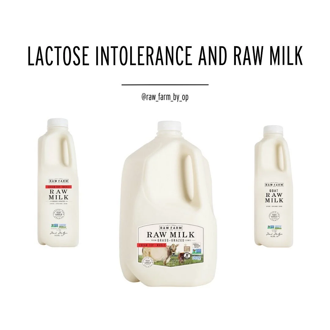 10 creative ways to use up extra raw milk — RAW FARM usa