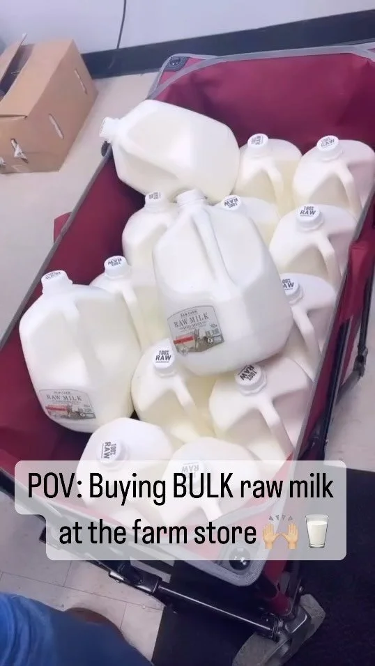 10 creative ways to use up extra raw milk — RAW FARM usa