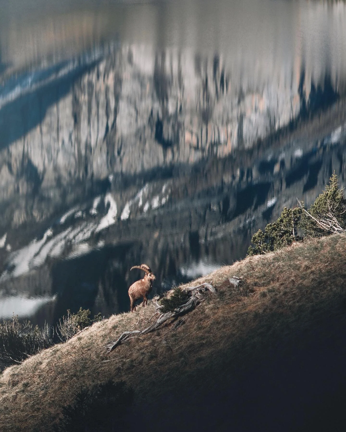 Adventures — Alex Dim Photographe