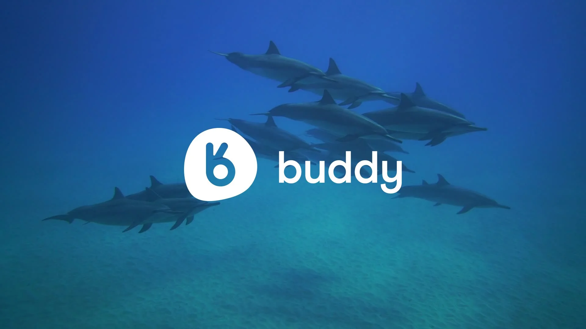 Buddy App: Meet Buddies & Discover Sites, Shops, & Content