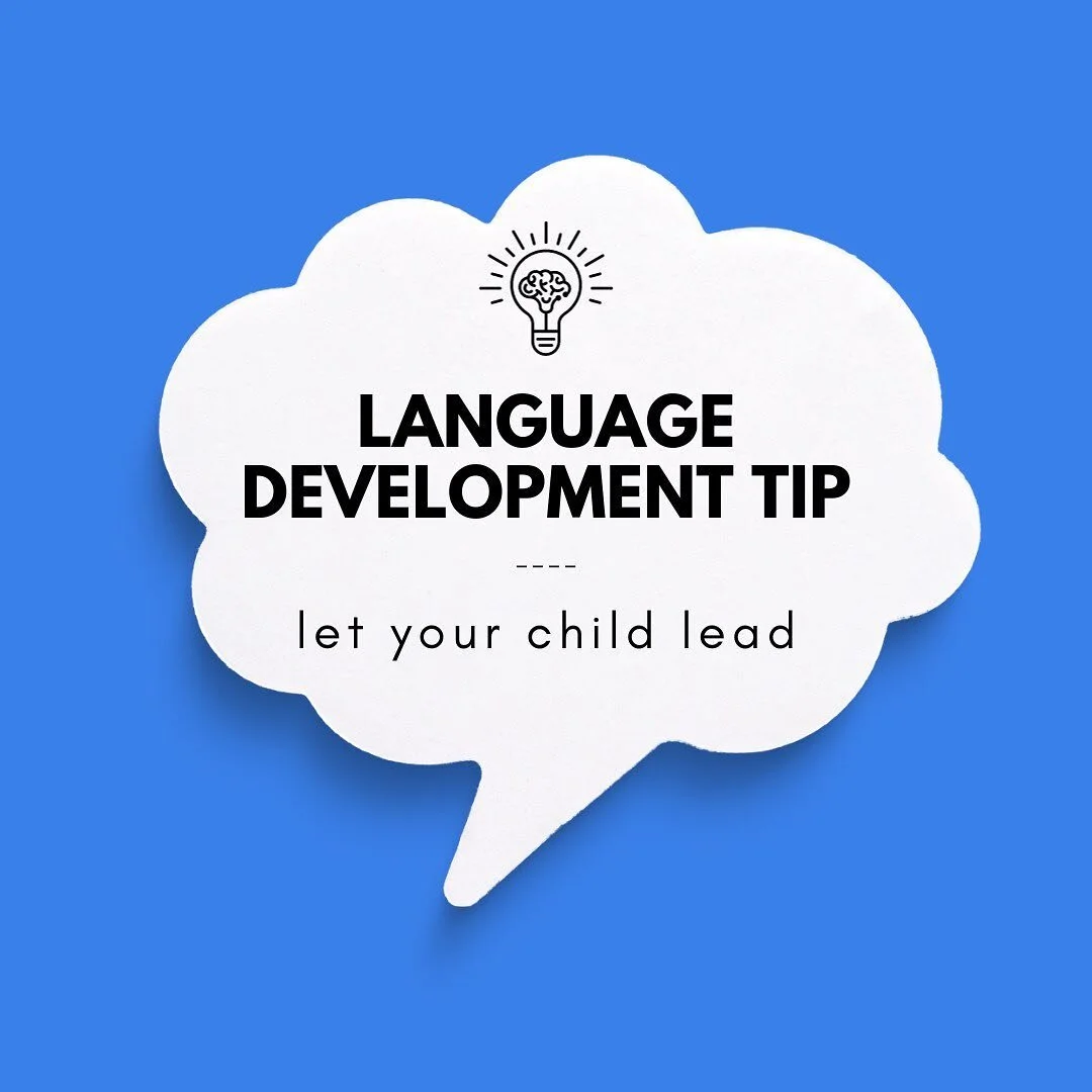 Lakes Speech & Language Pathology