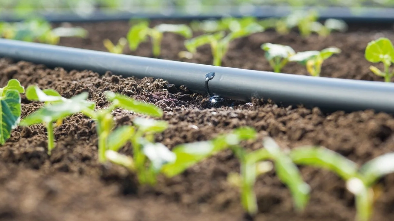 Delta Water Products