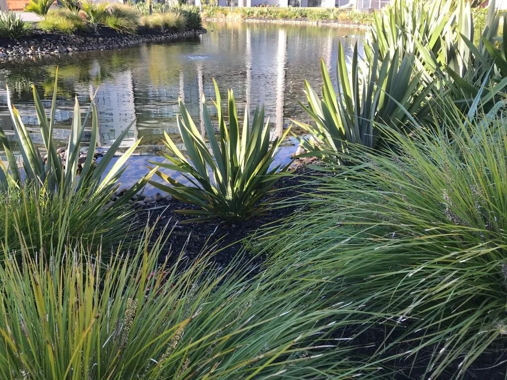 Hydroscape Irrigation Auckland - Residential and Commercial