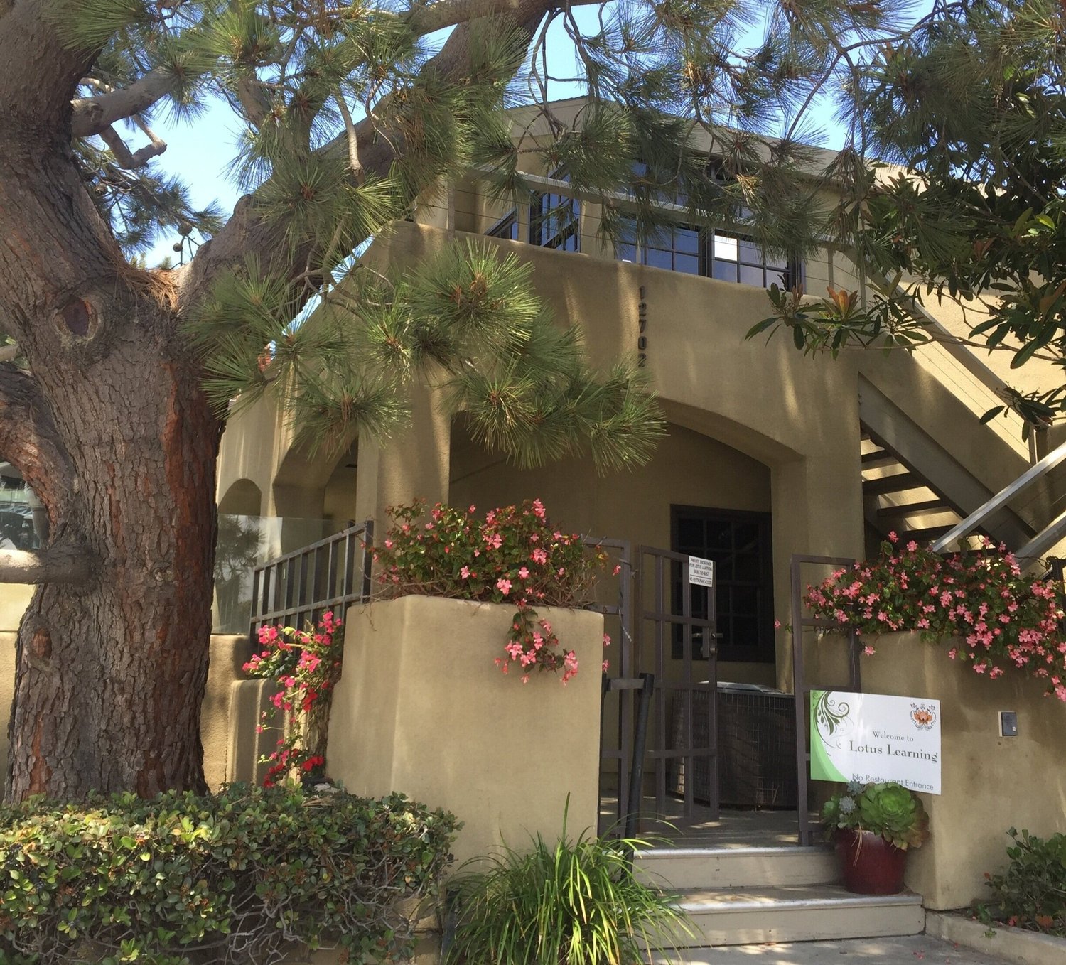 Lotus Learning Website