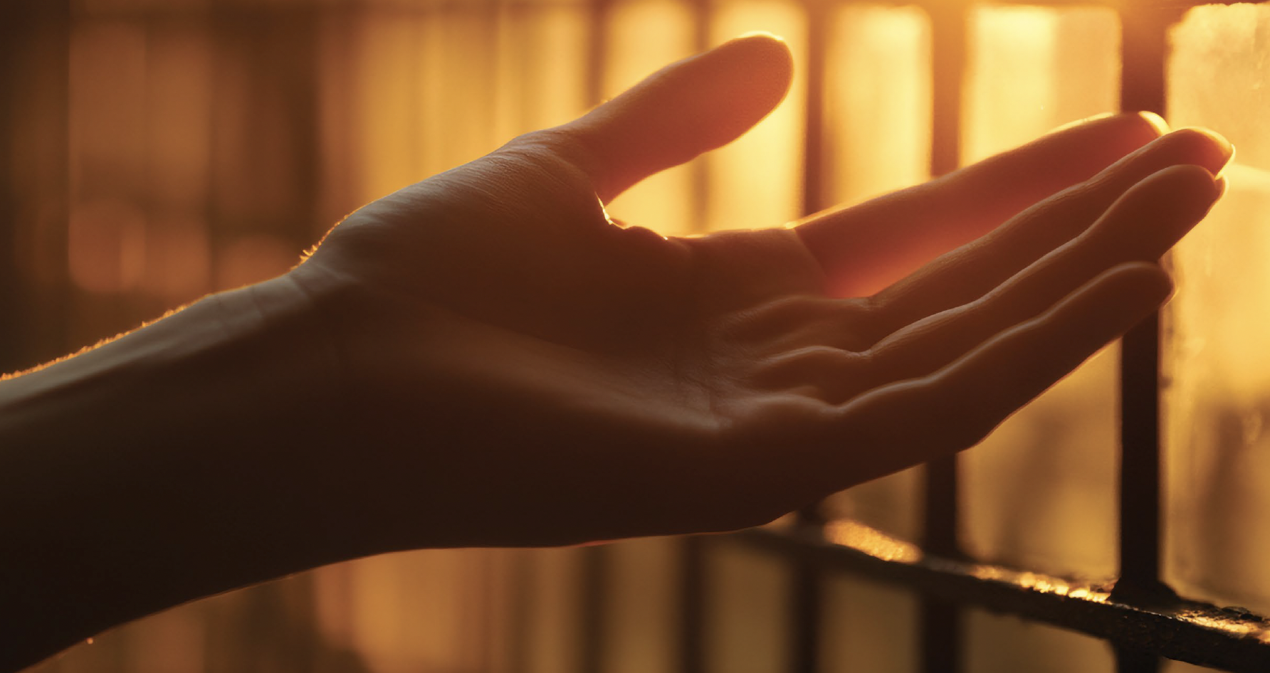 REPORT: Enforcing Religious Freedoms in Prison: 2017-2023 — Tayba ...