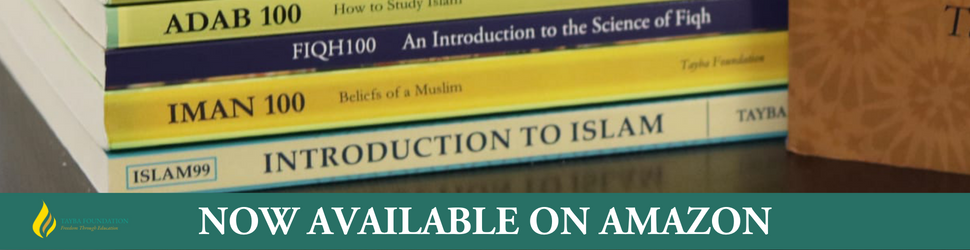 Our Curriculum — Tayba Foundation