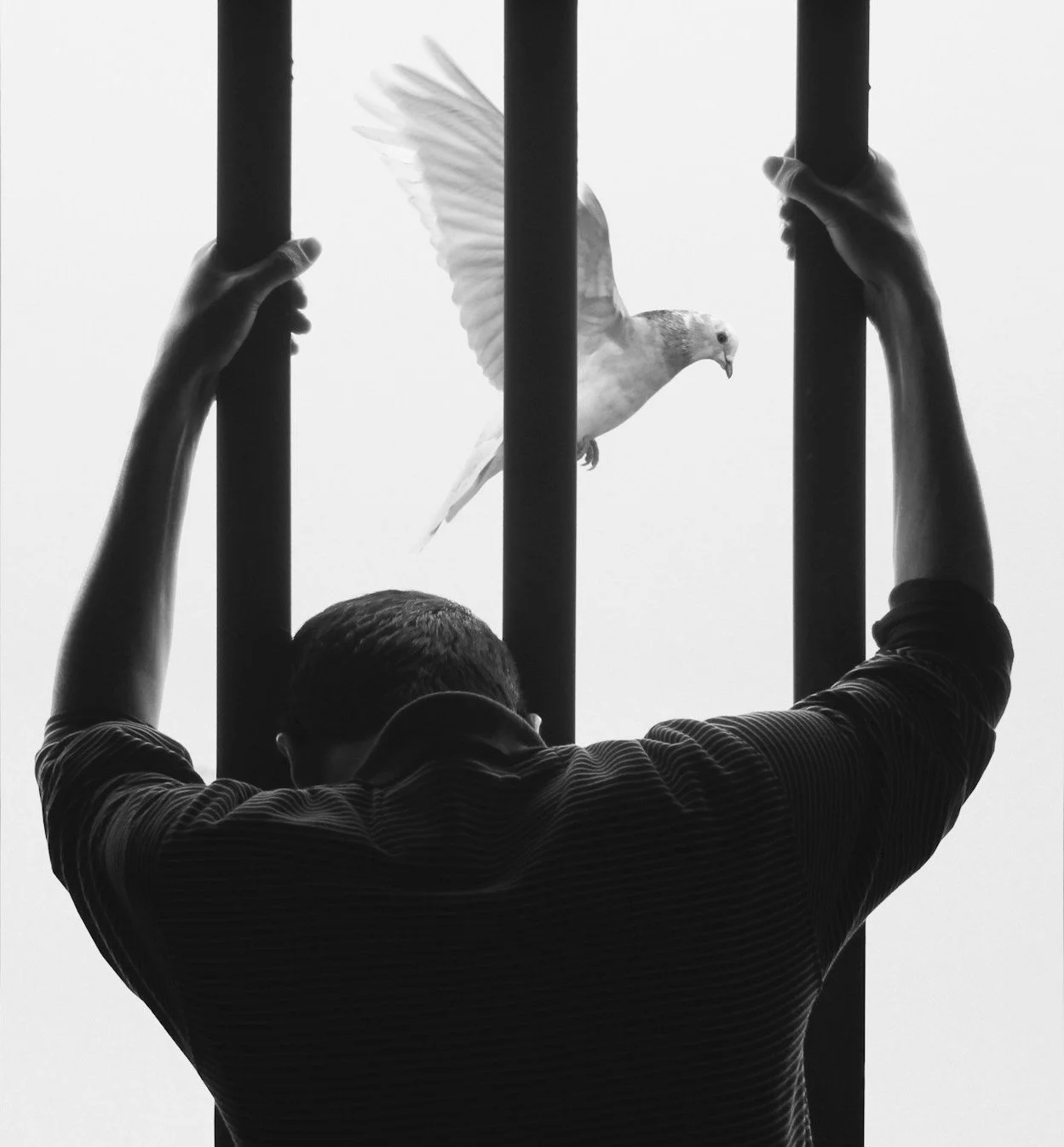 Tayba Foundation - Supporting incarcerated Muslims