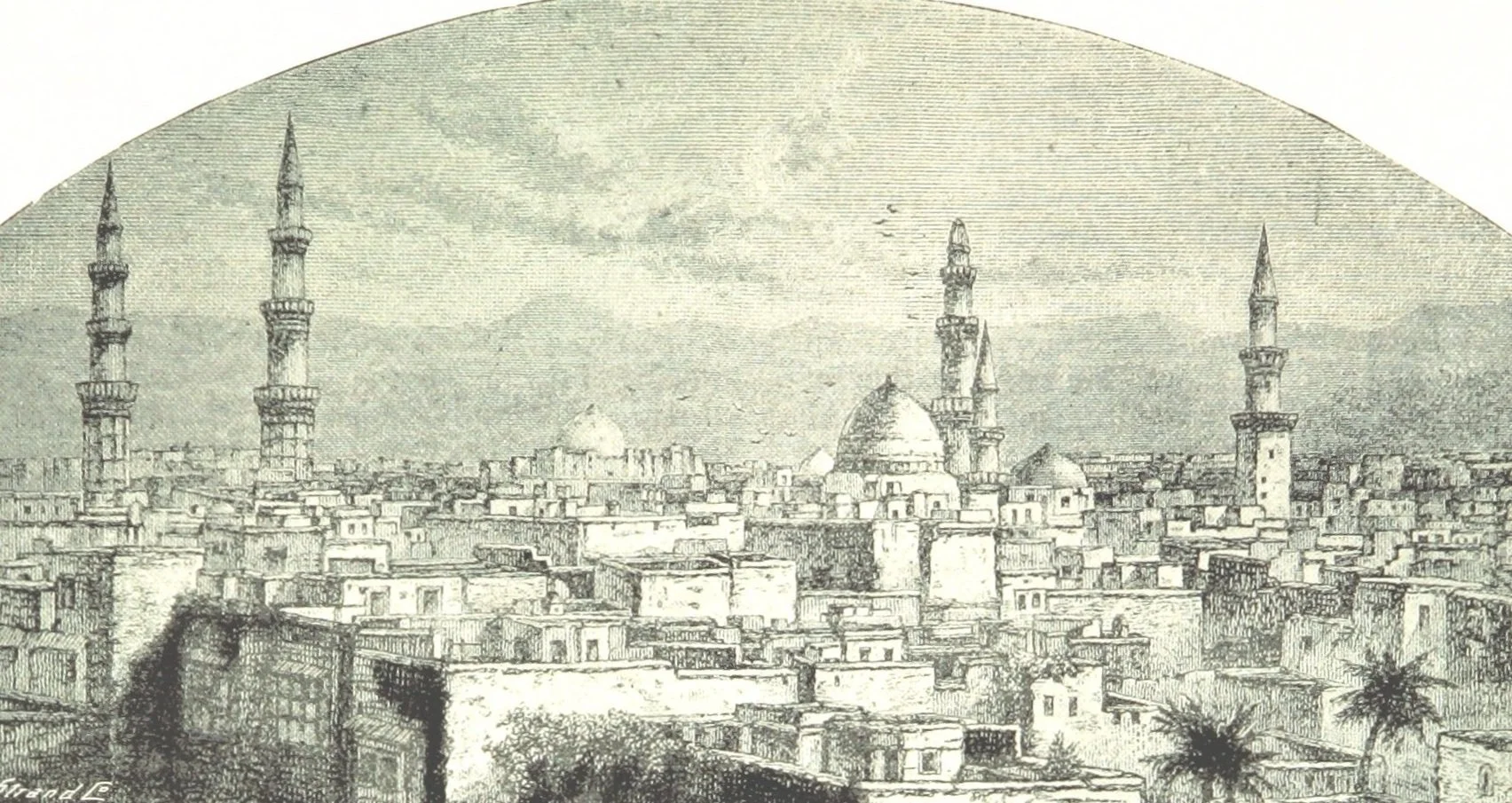 Maliki Fiqh with Shaykh Rami Nsour — Tayba Foundation