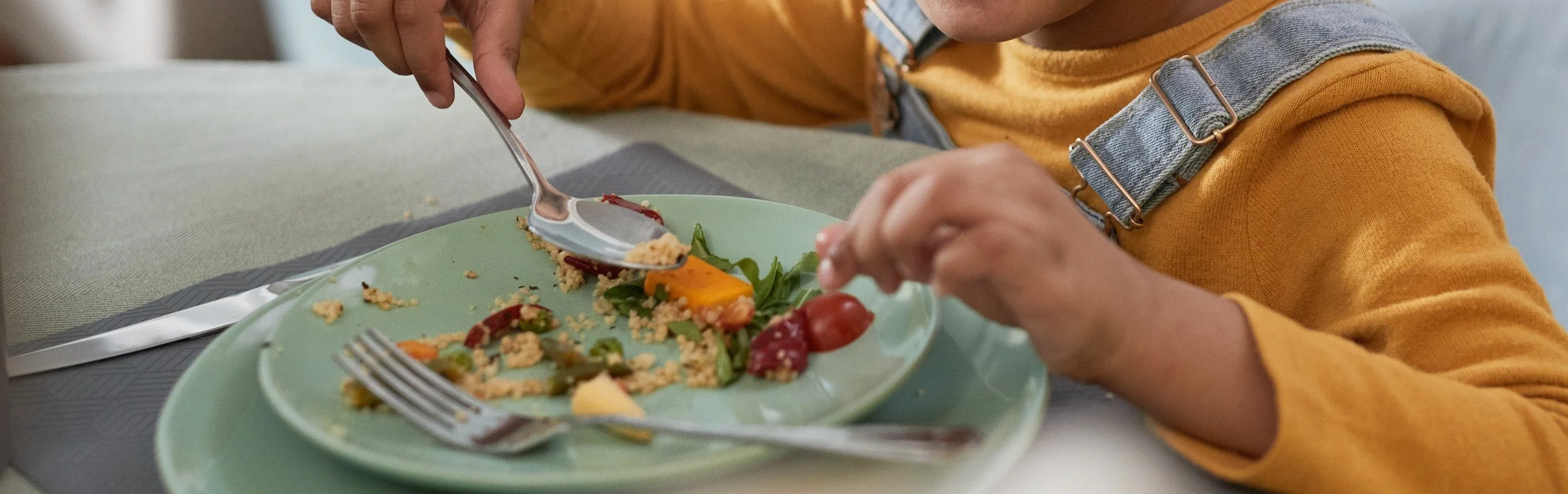 Decoding the Struggles of Selective Eating in Preschoolers — Little Otter