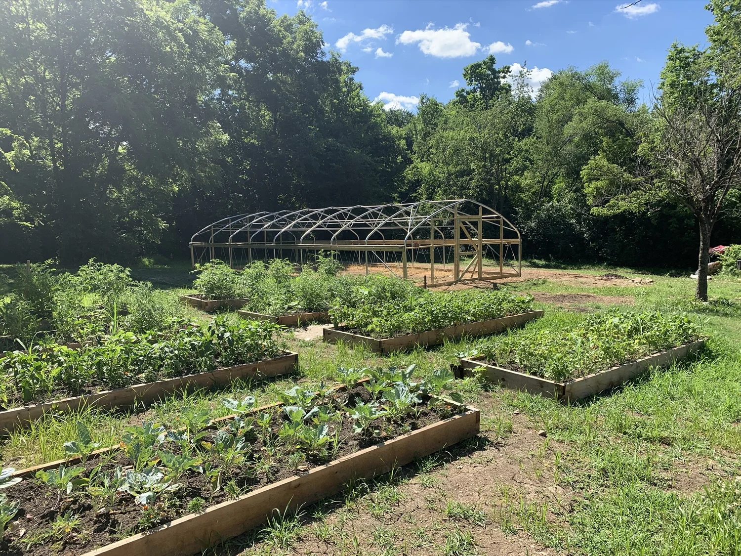 About CCF — Community Capital Fund