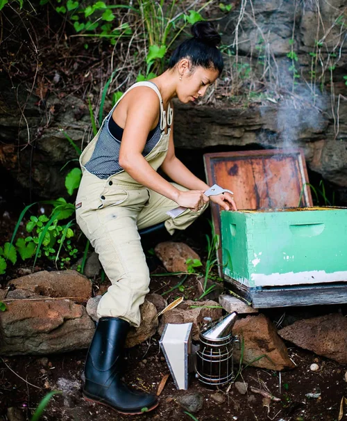 Beelieve Hawaii | Oahu & Kauai-based Beekeeping, Live Bee Removal ...