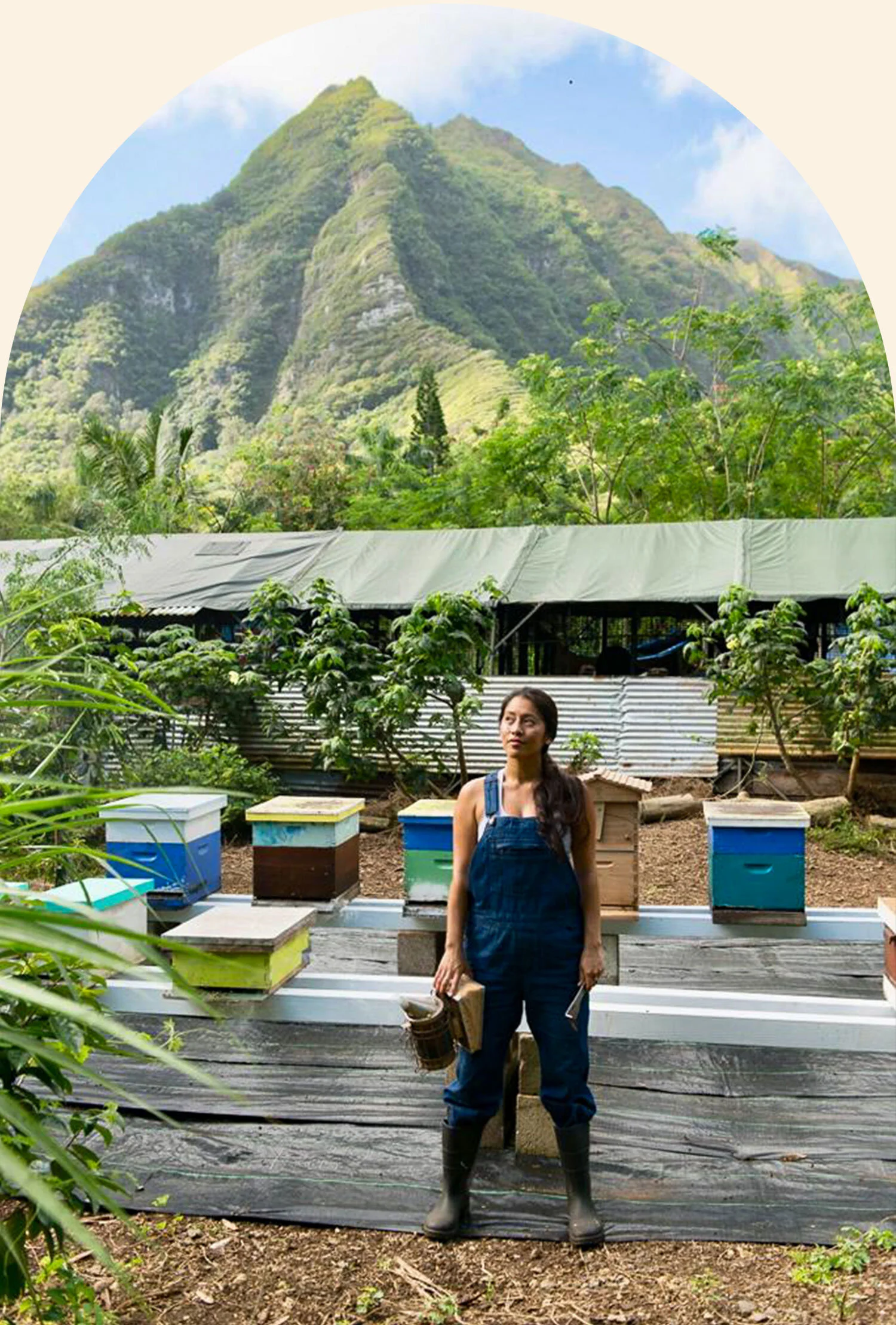 Beelieve Hawaii | Oahu & Kauai-based Beekeeping, Live Bee Removal ...