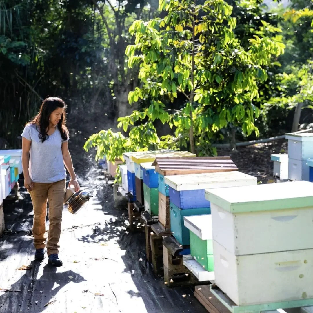 Beelieve Hawaii | Oahu-based Beekeeping, Live Bee Removal, Bee Farm ...