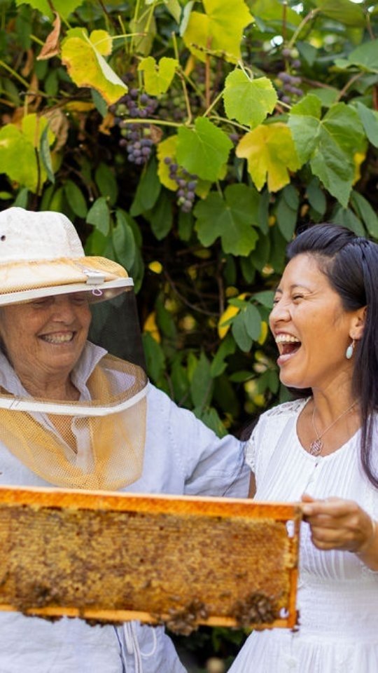 Beelieve Hawaii | Oahu & Kauai-based Beekeeping, Live Bee Removal ...