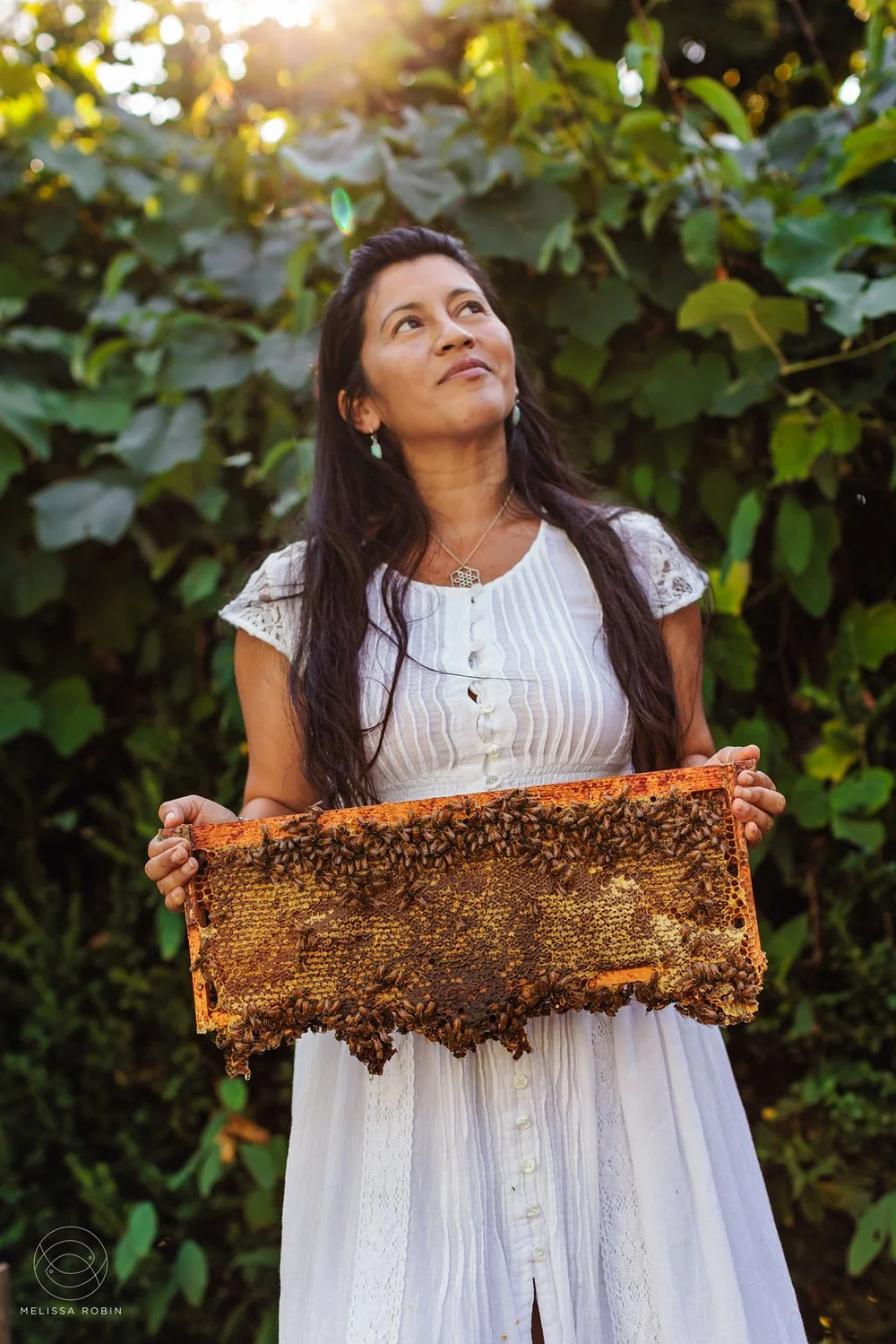 Beelieve Hawaii | Oahu & Kauai-based Beekeeping, Live Bee Removal ...