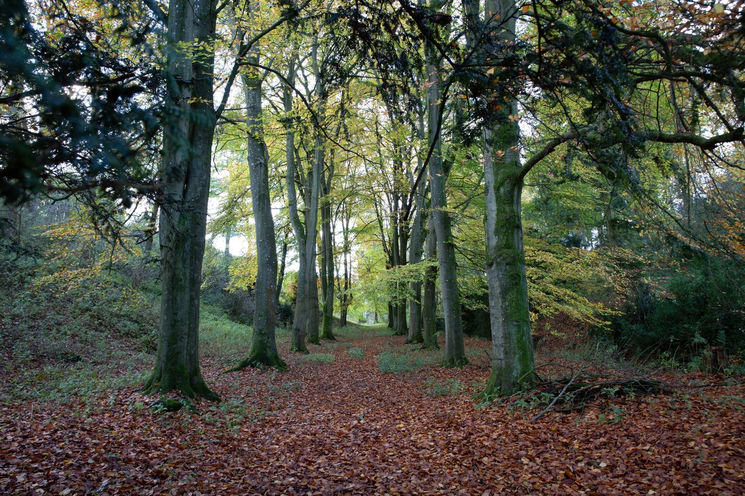 Burderop Estate