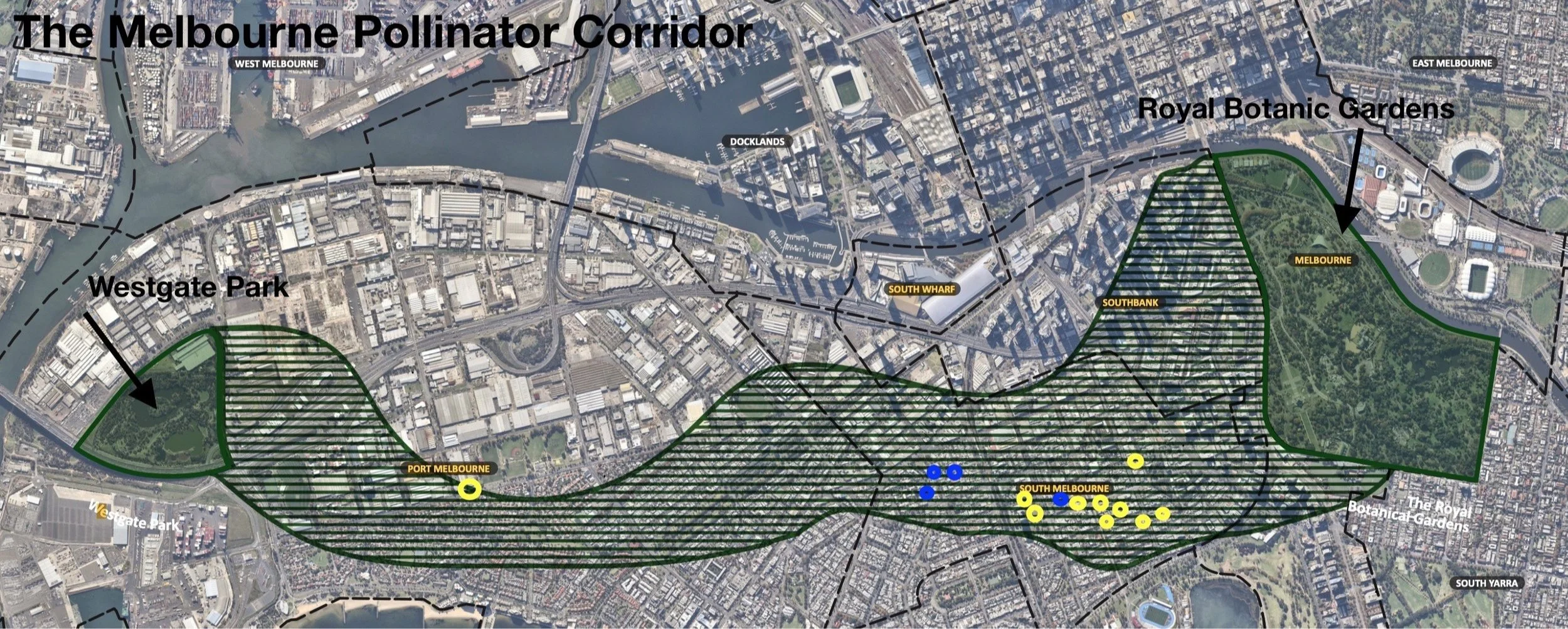 Melbourne Pollinator Corridor — The Heart Gardening Project