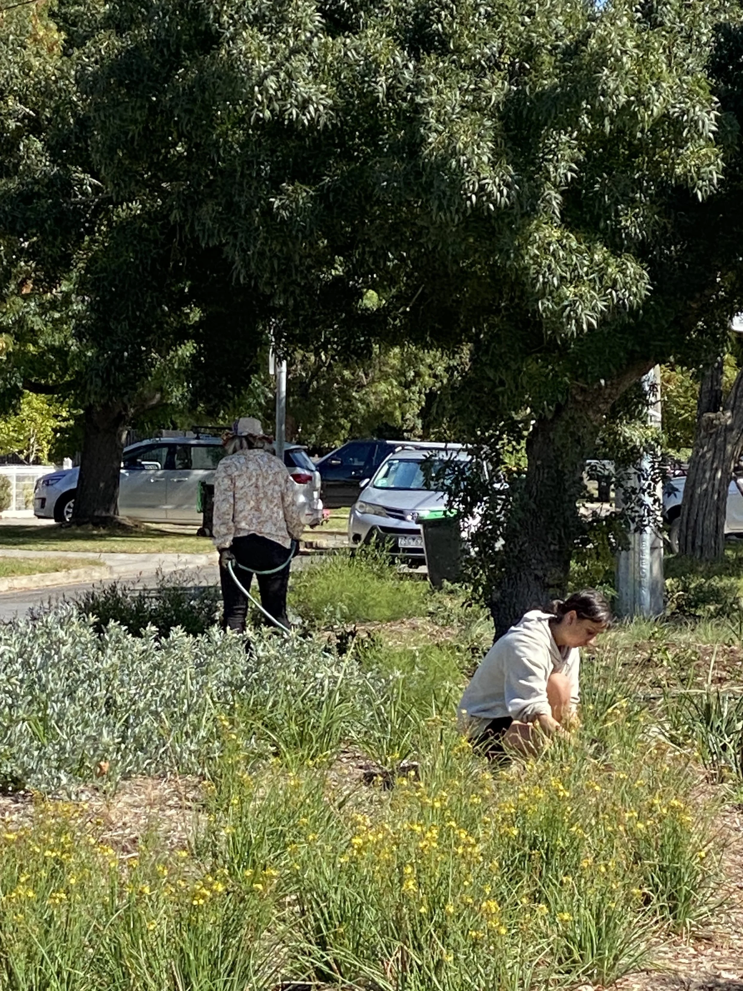 About our online course! — Heartscapes