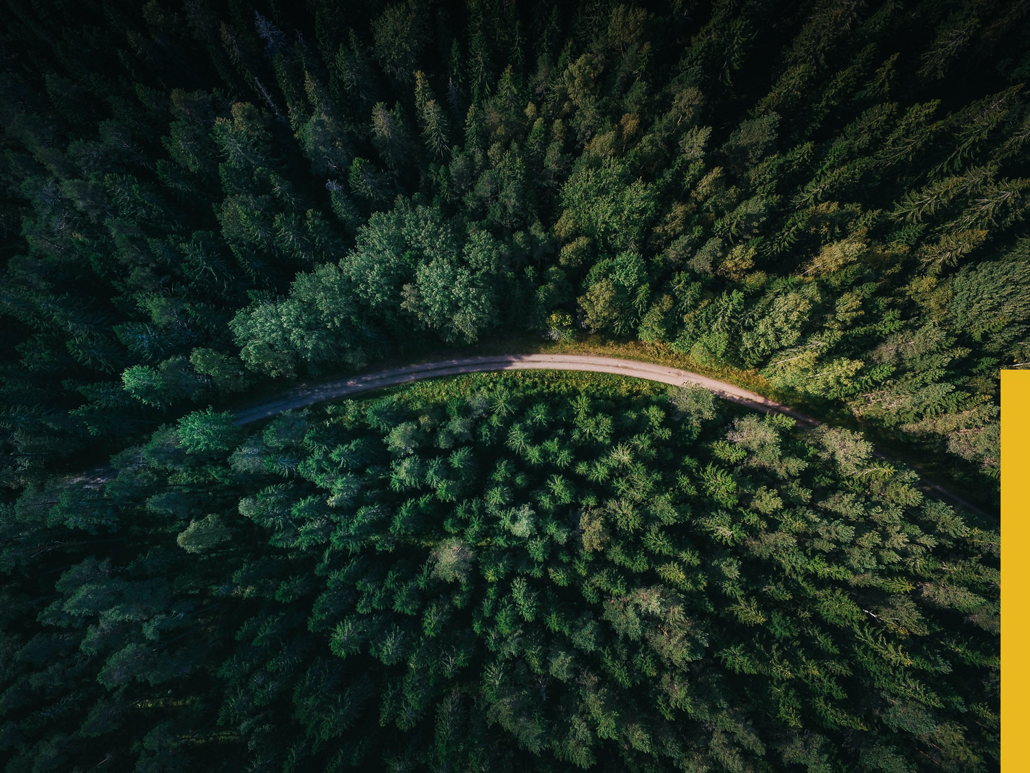Discover — Canacre