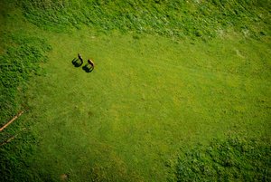 Discover — Canacre
